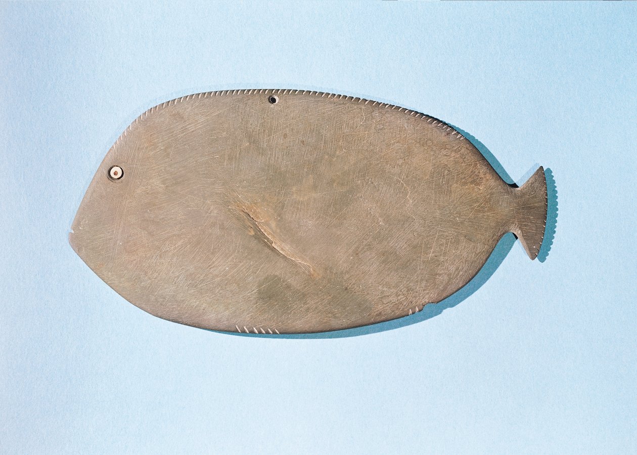 Palette in the Shape of a Fish, Pre-Dynastic Period (5000-3100 BC)